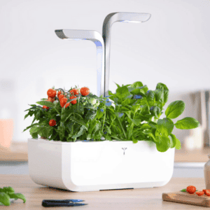 The 10 Best Indoor Garden Systems of 2023 • Sustainably Kind Living