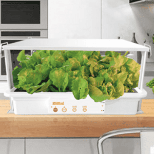 The 10 Best Indoor Garden Systems of 2023 • Sustainably Kind Living