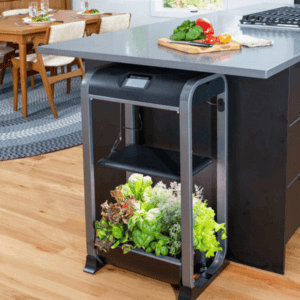 The 10 Best Indoor Garden Systems of 2023 • Sustainably Kind Living
