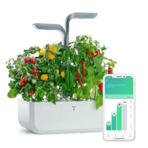9 Best Indoor Garden Systems For Super Easy Vegetable Gardening All ...
