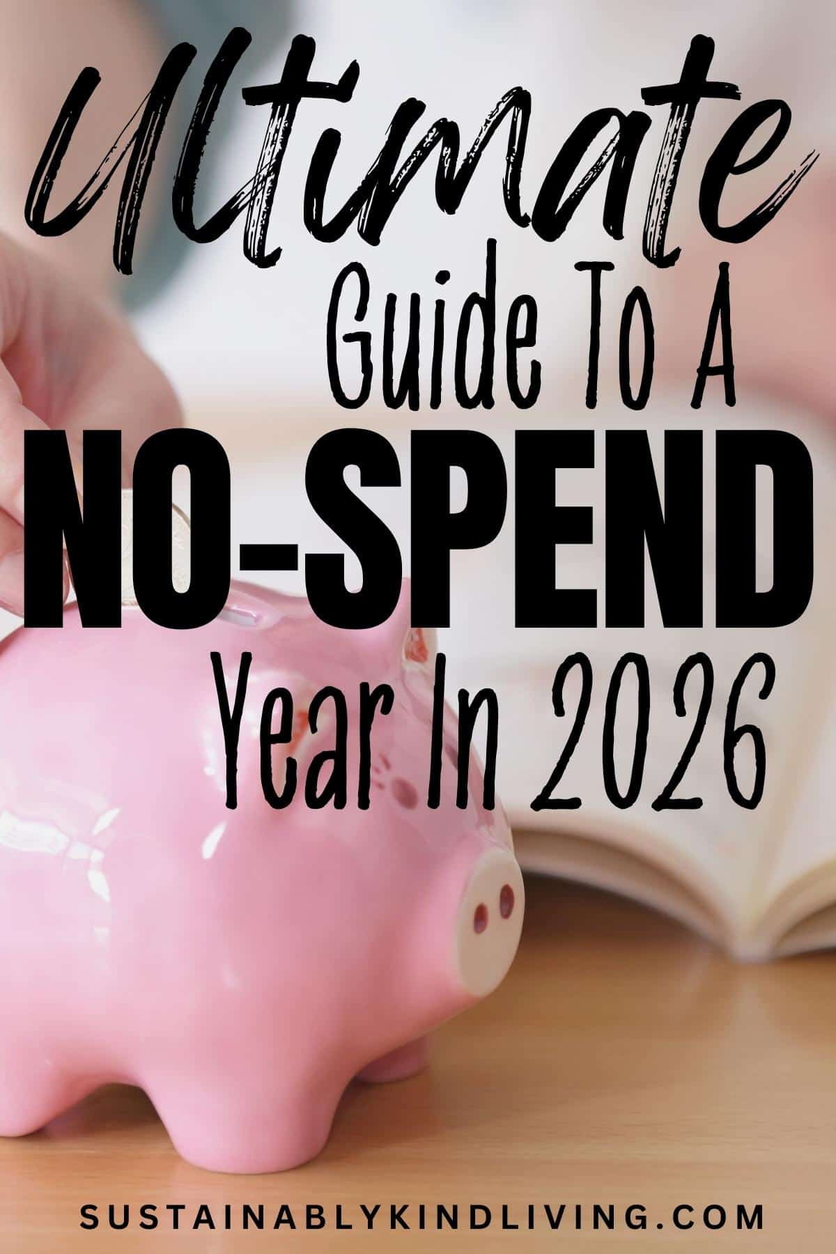 What Is A No Spend Year? The Ultimate Guide To A No Spend Year ...