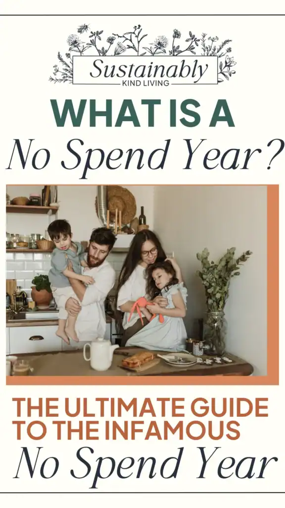 What Is A No Spend Year? The Ultimate Guide To A No Spend Year ...