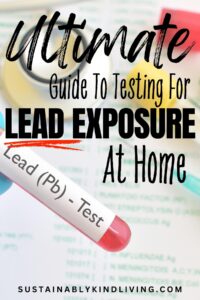How To Test For Lead Exposure At Home | Full Guide To At-Home Testing ...