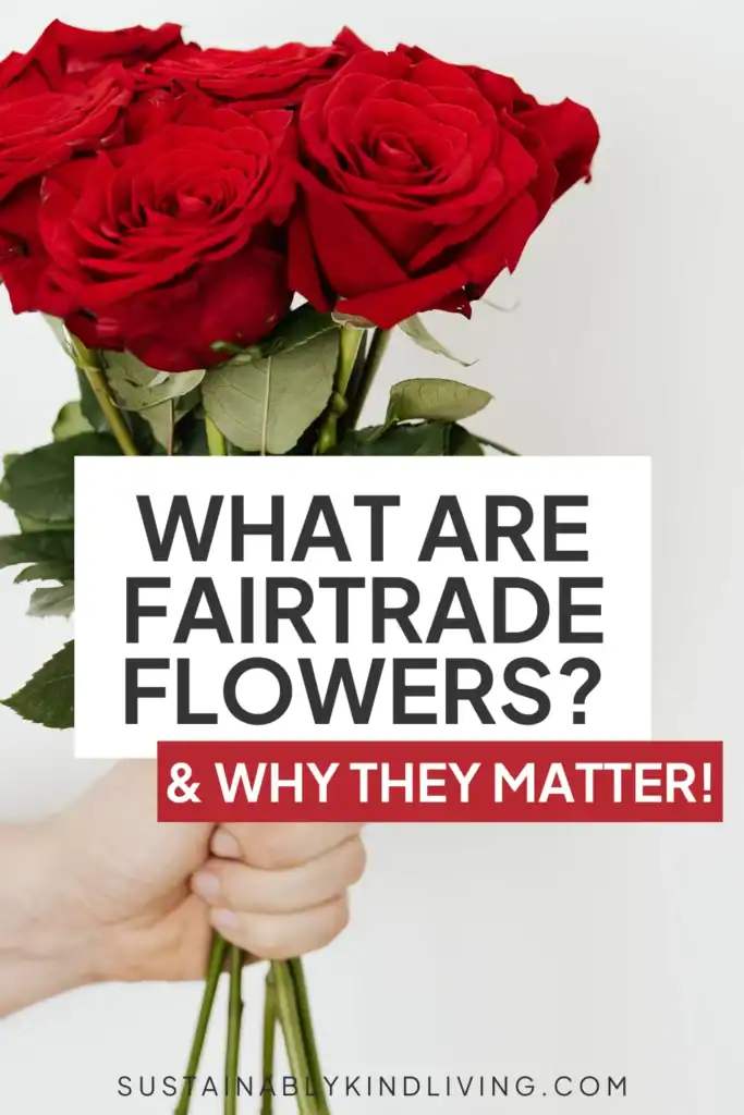 Why Fairtrade Flowers Matter + Where To Buy Them This Valentines Day ...