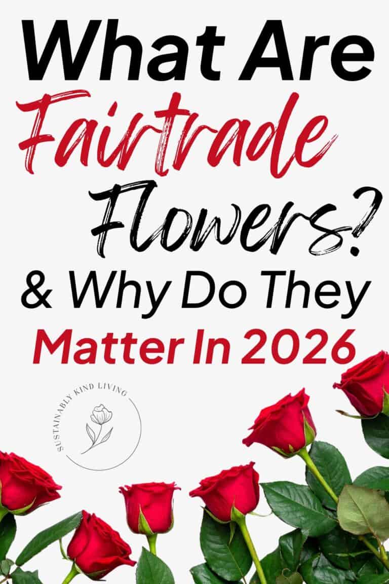 Why Fairtrade Flowers Matter + Where To Buy Them This Valentines Day ...