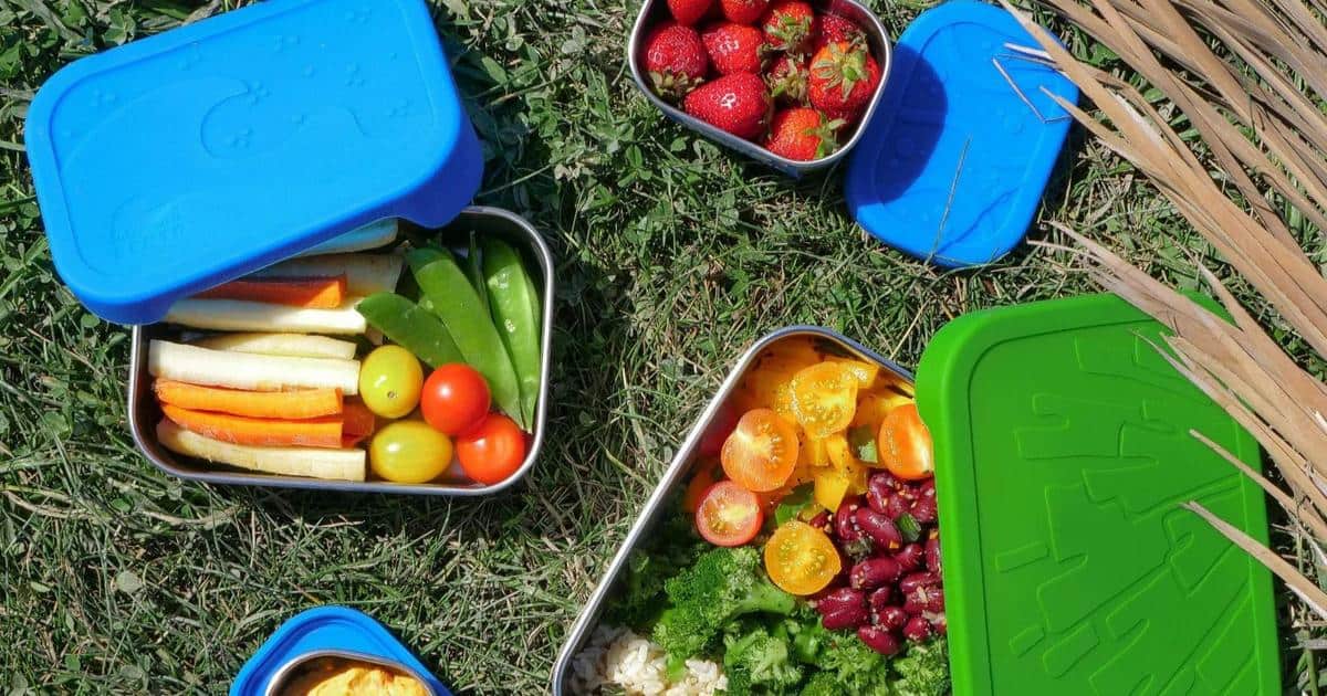 Best Non-Toxic Lunch Gear For 2026 | Lunch Boxes, Bags, Bottles & More ...