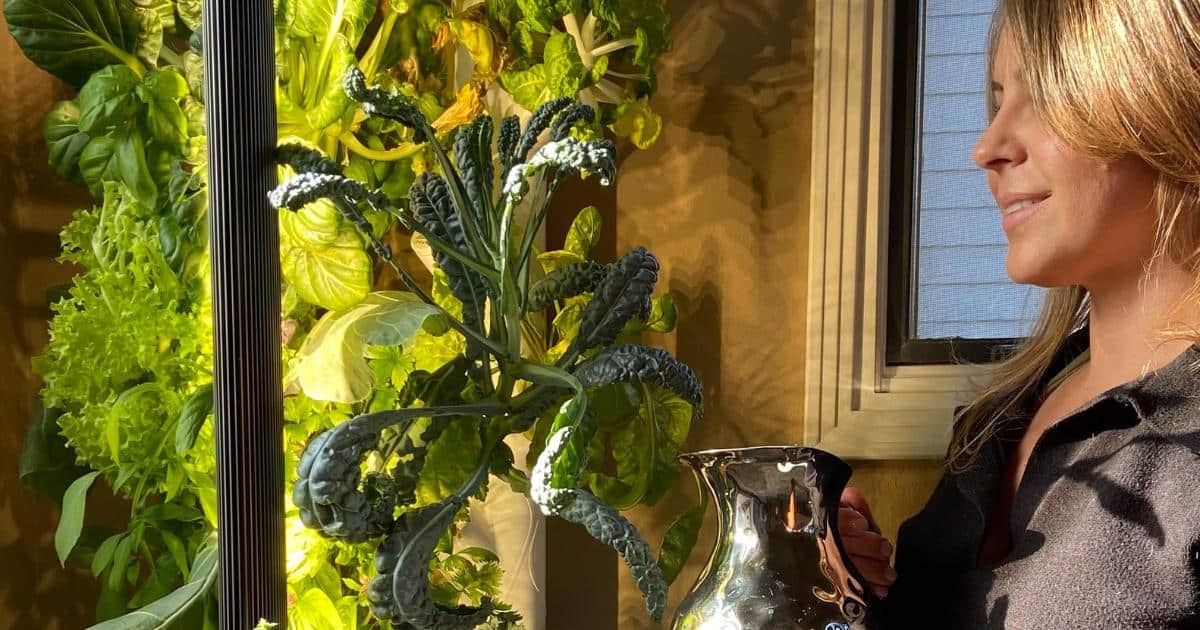 Gardyn Studio Review: My Honest Experience Growing Herbs & Veggies ...