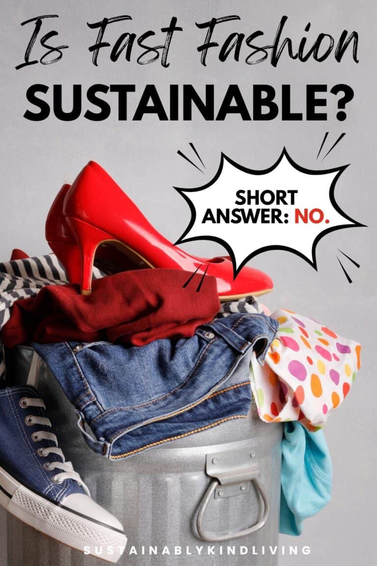 What Is Fast Fashion? Why It’s Harmful, Greenwashed & Hard To Quit ...